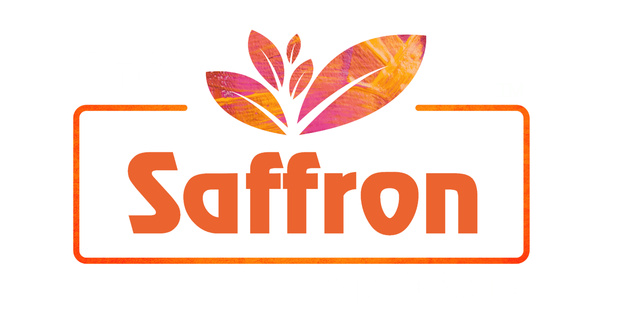 Live music and gala dinner - Cafe Saffron